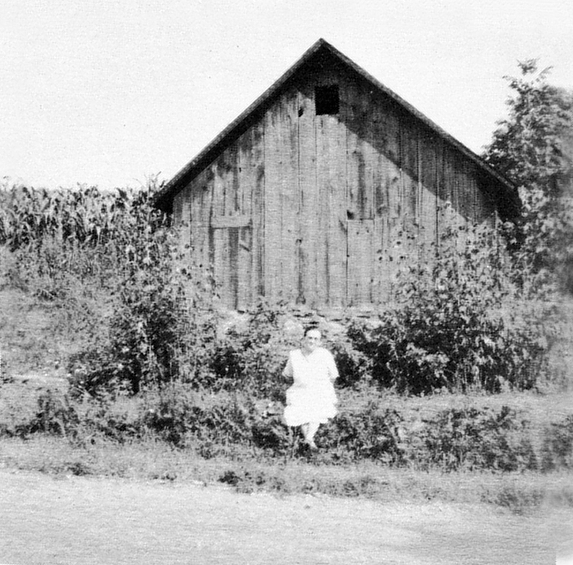 A Winter Crop—Harvesting Ice on the Farm - Greene-Dreher Historical Society